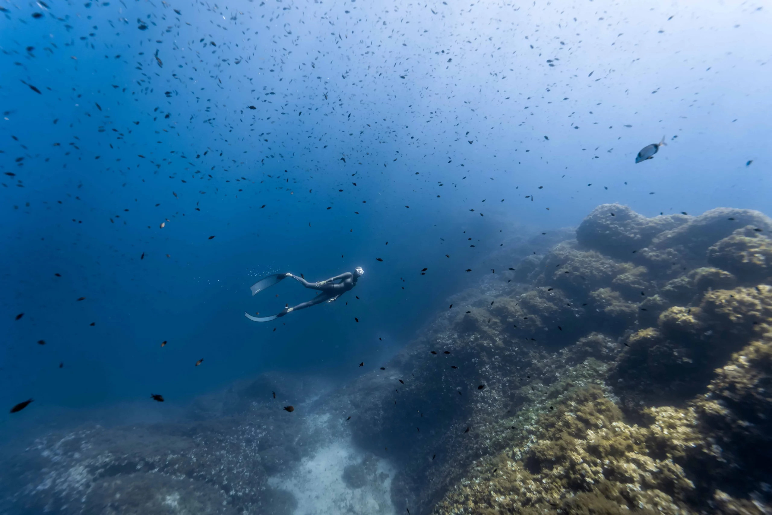 Li Karlsén Interview - nem.health