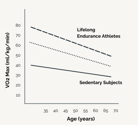 VO2 Max: Predictor for Longevity and Cardiovascular Health - nem.health